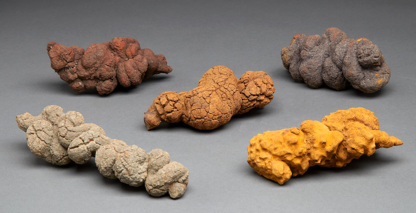 Bonhams : Five Natural Casts of Dinosaur Fecal Matter