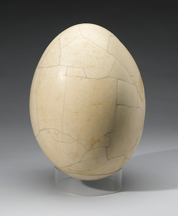 Bonhams : Elephant Bird Egg