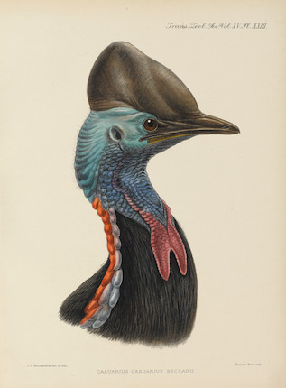 Bonhams : ROTHSCHILD, LIONEL WALTER. 1868-1937. A Monograph of the ...