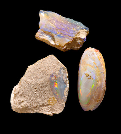 Bonhams : Three Opalized Fossils