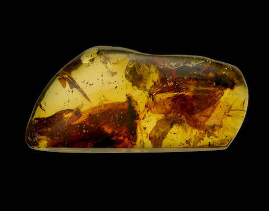 Bonhams : Rare Double Butterfly in Amber