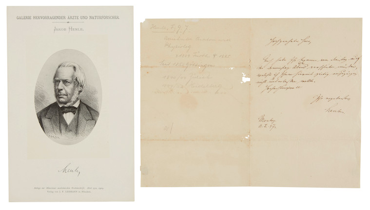 Bonhams : Henle, Friedrich Gustav Jacob. 1809-1885 ANS in German to C ...