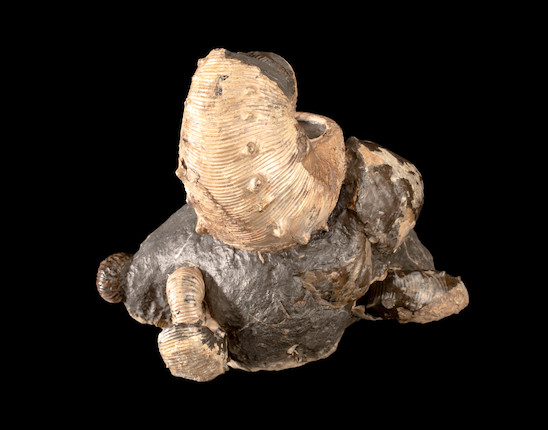 Bonhams : Group of Scaphites on Matrix