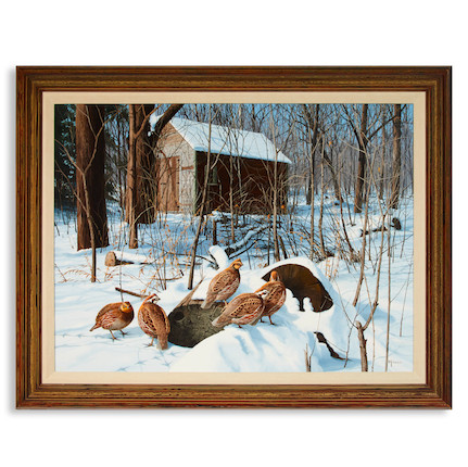 Bonhams : David Maass (born 1929) Secluded Hideaway - Bob White Quail ...