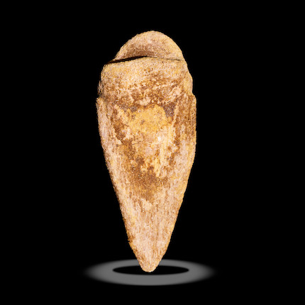 Bonhams : Rare T-Rex Hand Claw