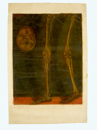 Bonhams : GAUTIER D'AGOTY, JACQUES FABIEN. 1716-1785. Exposition ...