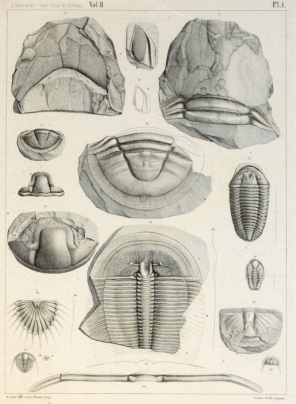 Bonhams : Original Litographic Book Plate from “Systeme silurian”, by ...