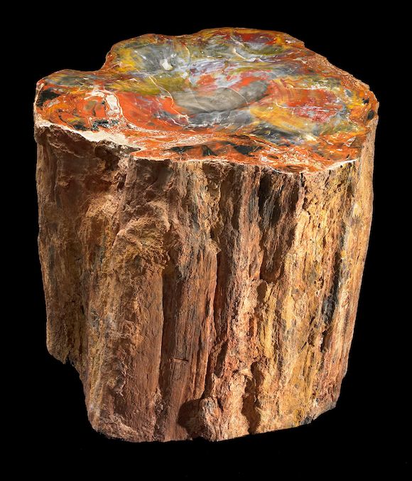 Bonhams : Rainbow Petrified Wood
