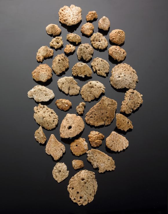 Bonhams : Dinosaur Scutes