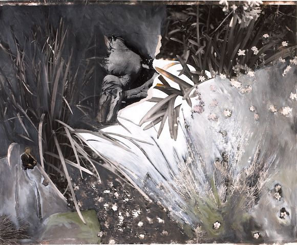 Bonhams : John Bloom Painted Photographs: The Technology of Modern ...
