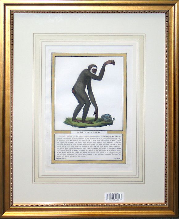 Bonhams : Four framed colored prints of monkeys