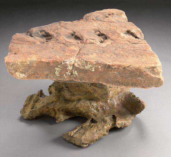 Bonhams : Permian Fossil Footprint