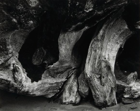 Bonhams : Edward Weston (American, 1886-1958); Stump, Moonstone Beach;