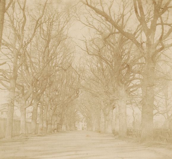Bonhams : William Henry Fox Talbot (British, 1800-1877); Coley Avenue ...