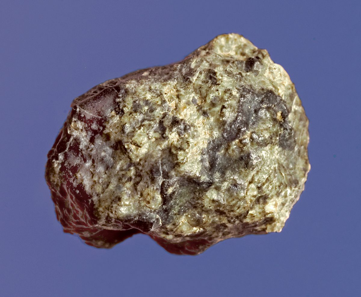 Willamette Meteorite – Crown Section of the Most Famous Meteorite in ...