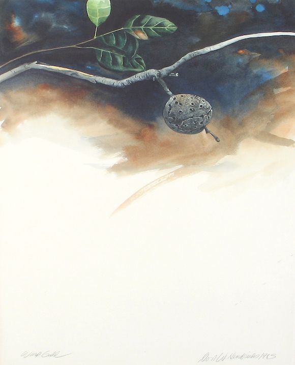 Bonhams : Don Wayne Hendricks (American, 1947-1989) Wasp Gall, 1985 22 ...