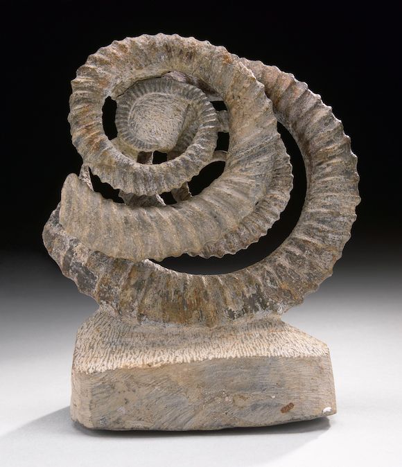 Bonhams : Double Uncoiled Ammonite