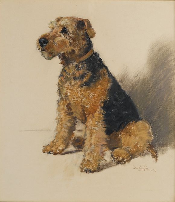 Bonhams : Peter Biegel (1913-1987) A Welsh Terrier 21 x 18 3/4 in. (50. ...