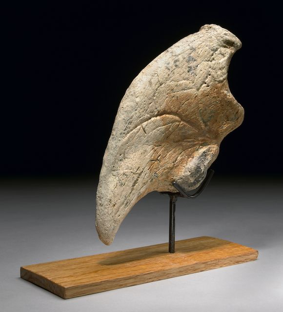 Bonhams : Giant Ground Sloth Claw