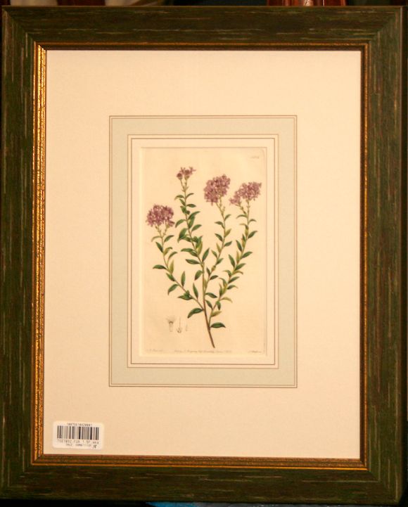 Bonhams : A set of eight framed English botanical prints