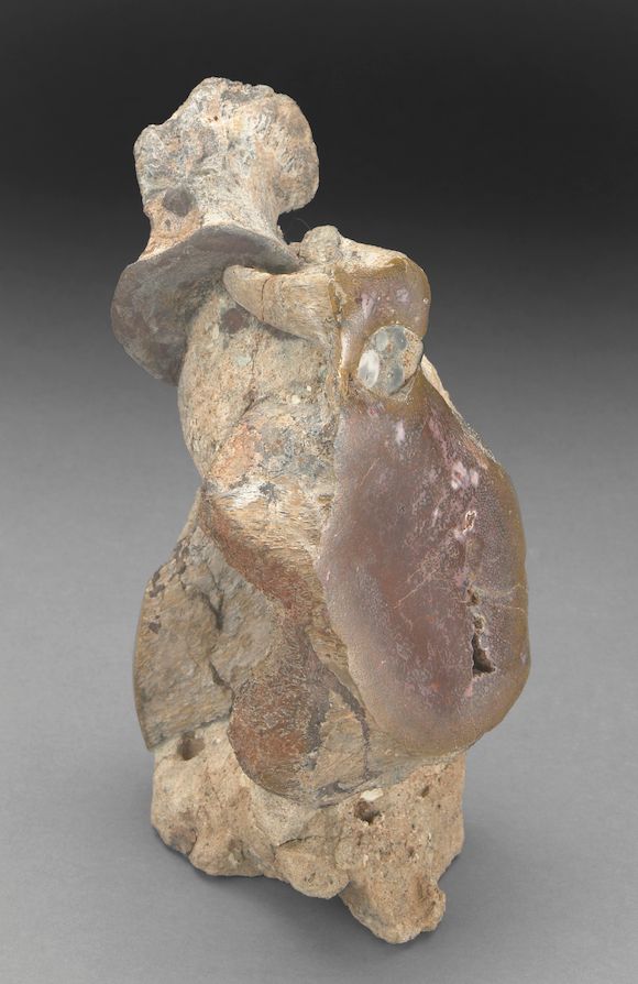 Bonhams : Dinosaur Vertebrae in Matrix