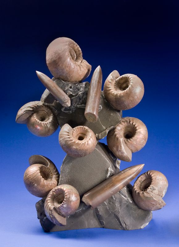 Bonhams : Ammonite and Belemnite Sculpture