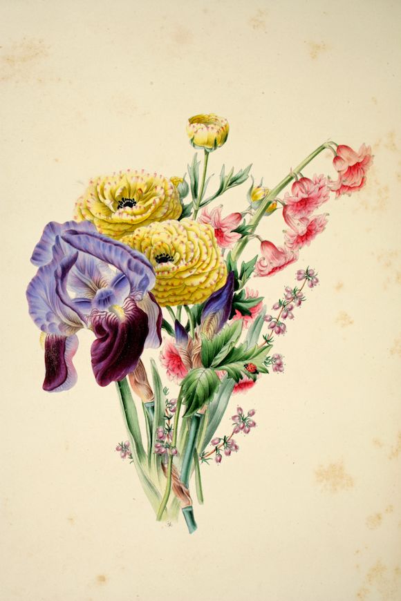 Bonhams : ANDREWS, JAMES & LOUISA ANNE TWAMLEY [MEREDITH].
