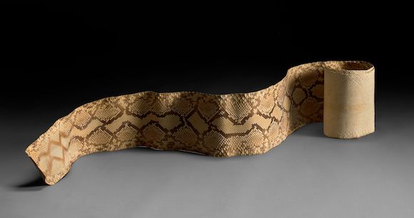 Bonhams : Large Reticulated Python Skin