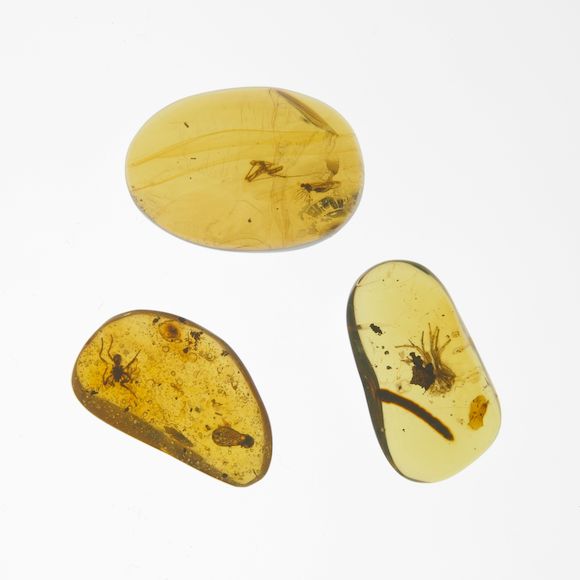 Bonhams : Collection of Three Large Amber Nuggets with Spiders