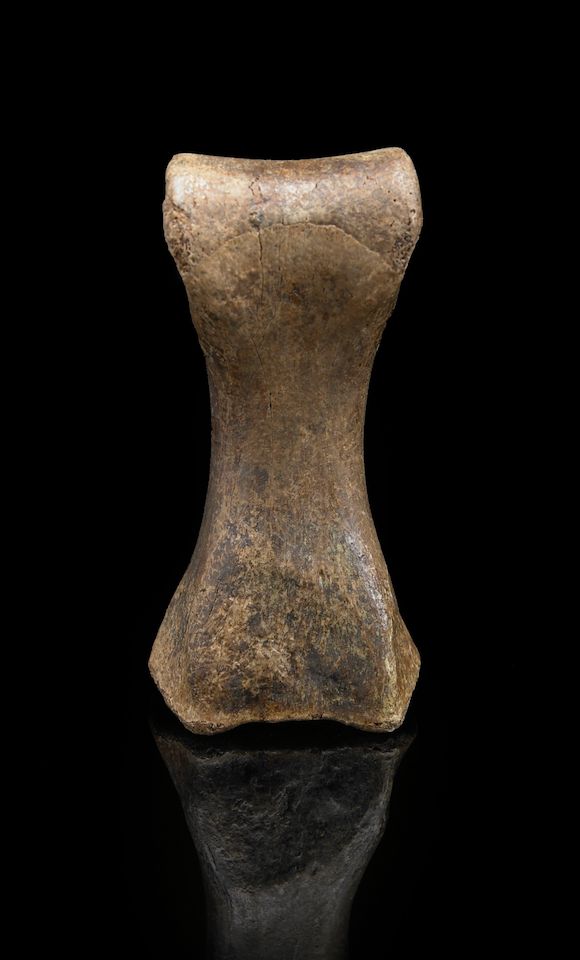 Bonhams : Ostrich-mimic Dinosaur Toe Bone