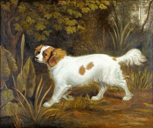 Bonhams : British School, 19th century Cavalier King Charles Spaniel in ...