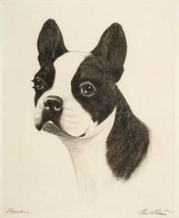 Bonhams : Bert Cobb (American, ?-1935) A Boston Terrier 10 x 8in (25.4 ...
