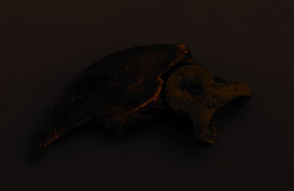 Bonhams : Giant Ground Sloth Claw from a Distinguished Private Collection