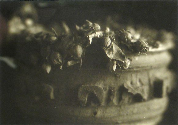 Bonhams : Edmund Teske (American, 1911-1996); Untitled (Urn with Dried ...