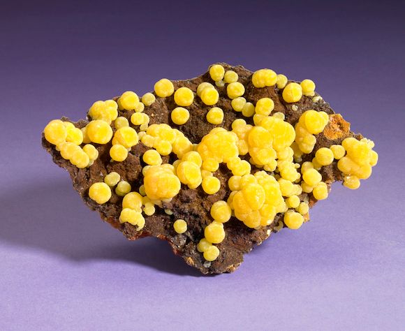 Bonhams : Botryoidal Mimetite on matrix