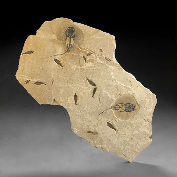 Bonhams : Unusual Double Stingray Mural