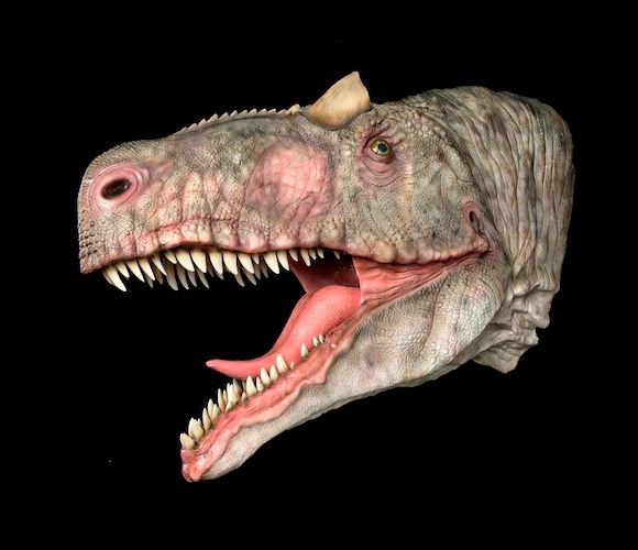 Bonhams : Allosaurus Sculpted Head