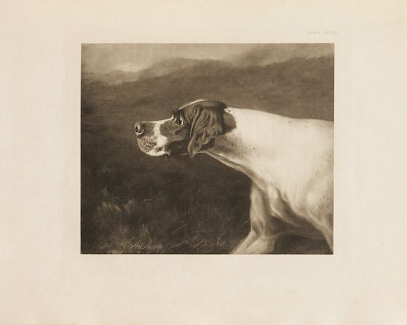 Bonhams : Arkwright, William The Pointer and His Predecessors. an ...