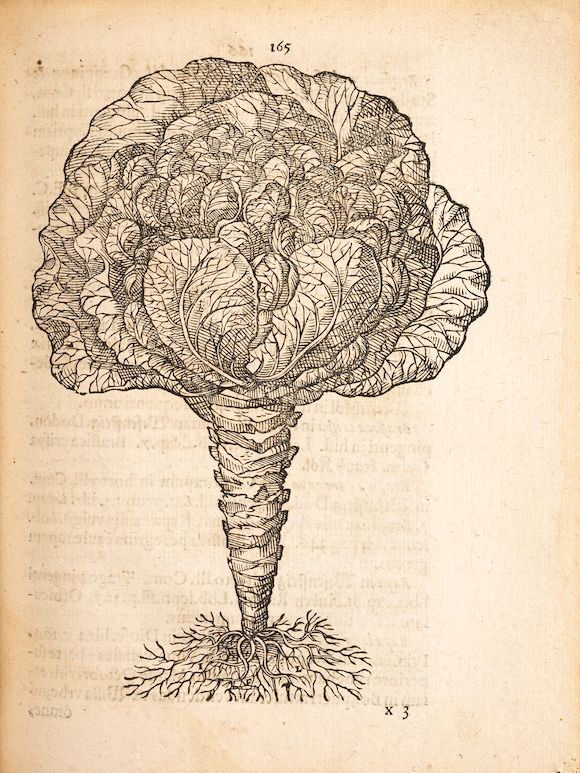 Bonhams : BAUHIN, JEAN. 1541-1613.