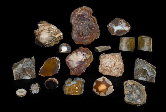 Bonhams : Large Group of Petrified Wood, Agate and Jasper Specimens