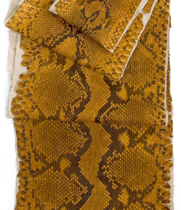 Bonhams : Giant Reticulated Python Skin