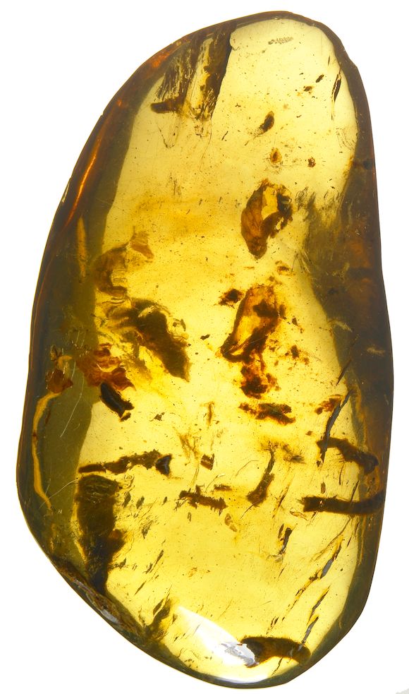 Bonhams : Large Amber Nugget
