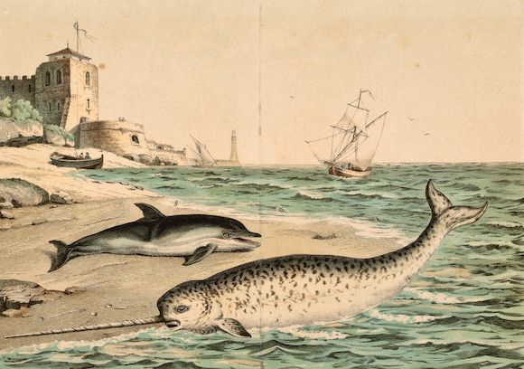 Bonhams : A collection of whaling colored engravings and lithographs ...