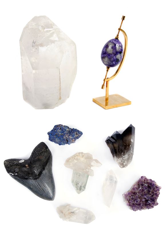Bonhams : Group of Assorted Natural History Objects