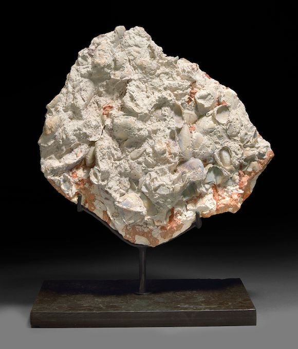 Bonhams : Opalized Clam Shell Cluster in Matrix