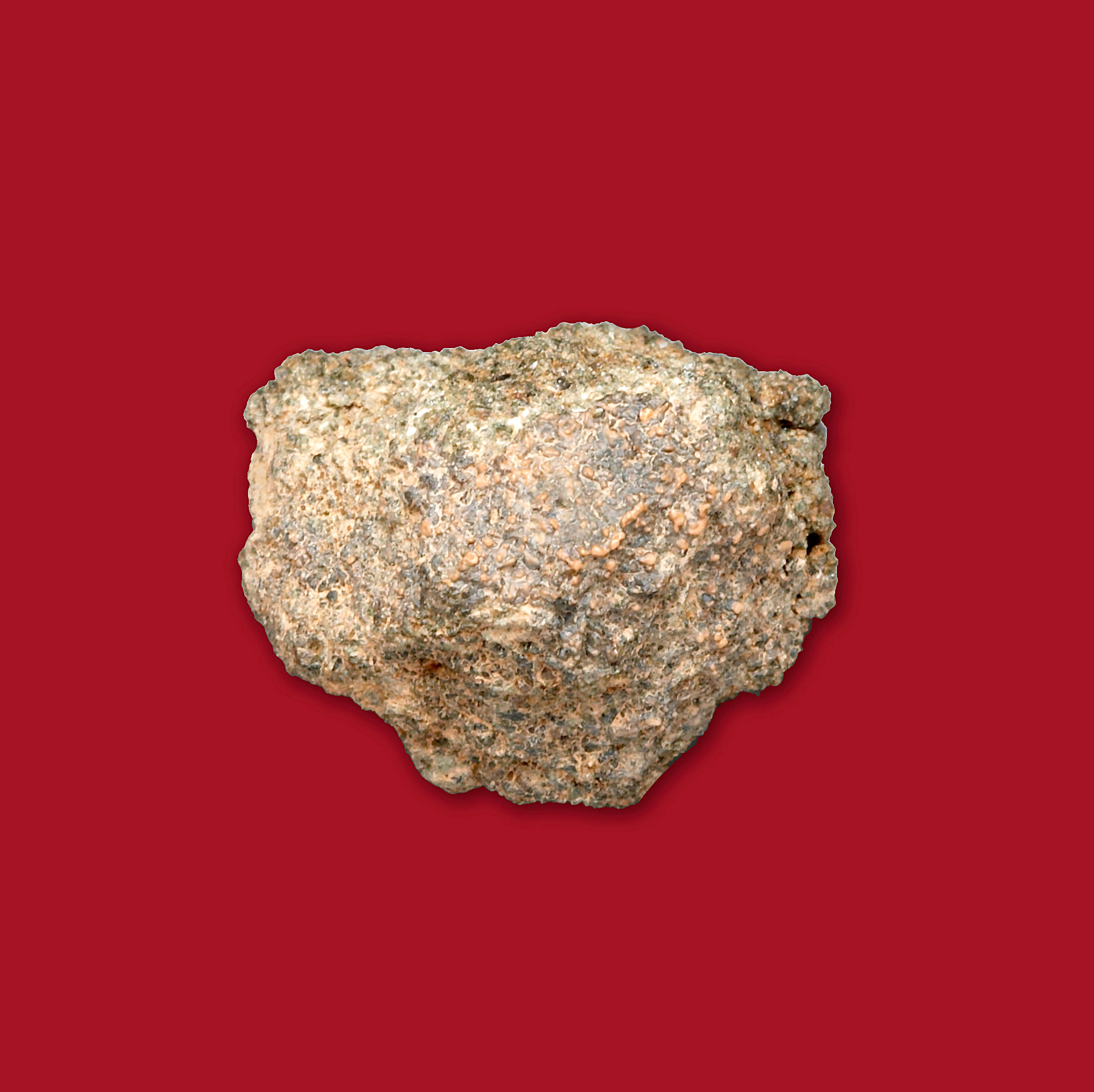 NWA 998—Martian Meteorite-A complete specimen - Auktionen & Preisarchiv