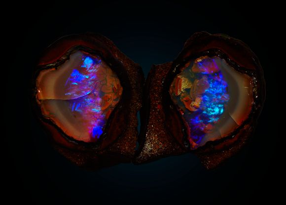 Bonhams : Gem-Quality Opal Nodule Split—"Yowah Nut"