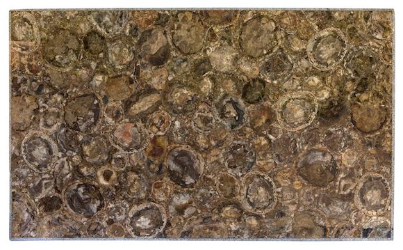 Bonhams : Large and Impressive Petrified Wood Wall Panel