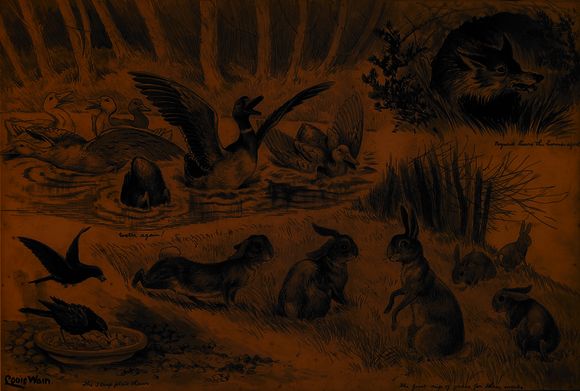 Bonhams : Louis Wain (British, 1860-1939) Untitled,