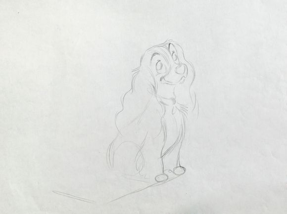 Bonhams : Four Walt Disney rough animation drawings from Lady and the Tramp